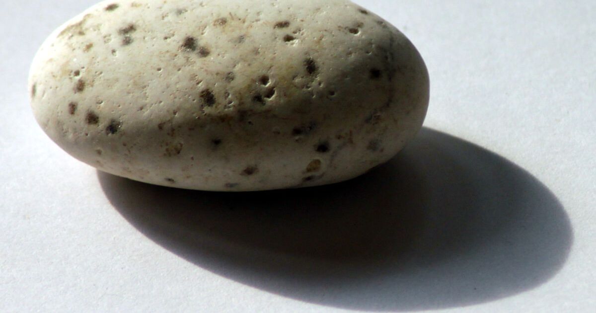 Der Taubenei-Stein - Museum der schönen Dinge